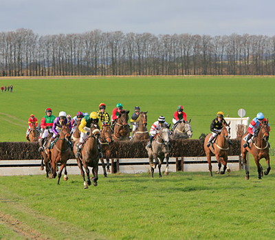 A Guide to Point-To-Point Racing and How it Differs from National Hunt ...