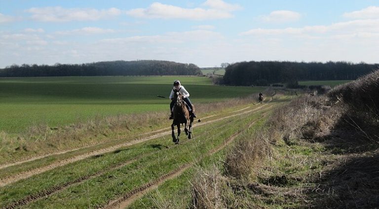 The Kiplingcotes Derby is the Oldest Horse Race In Britain | Horse ...